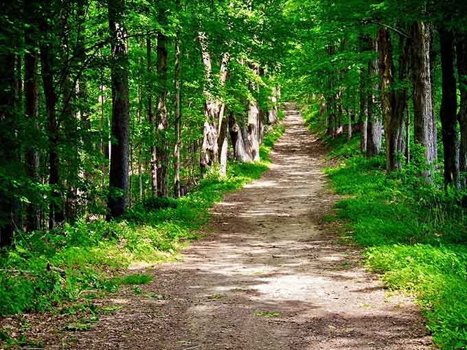 The trail beckons like an old friend inviting you for a stroll through nature's living room.