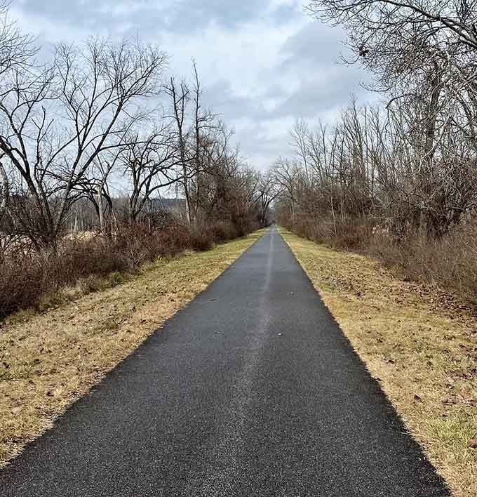 Even stripped bare in winter, this trail has a quiet, honest beauty that demands your full attention.