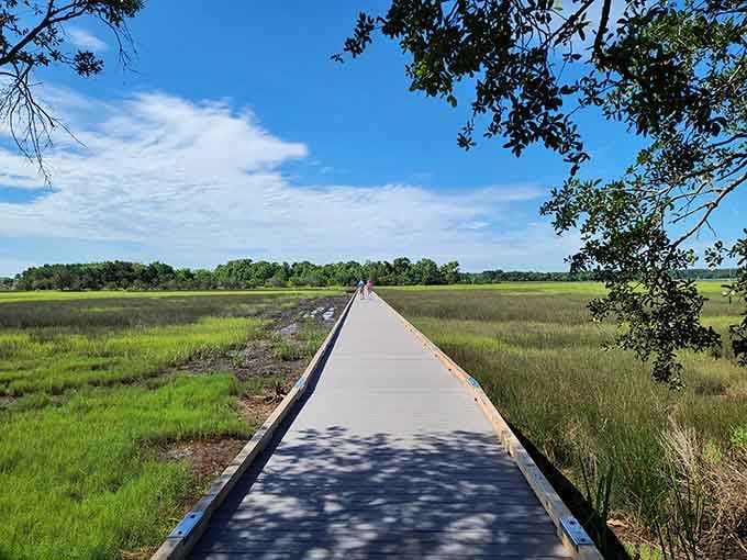 That boardwalk at Stono River County Park isn't just a path, it's a whole mood.