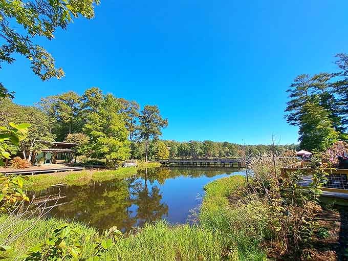 Blue skies, calm water, and total serenity — the Virginia Hand Callaway Discovery Center makes a convincing case for slowing down.