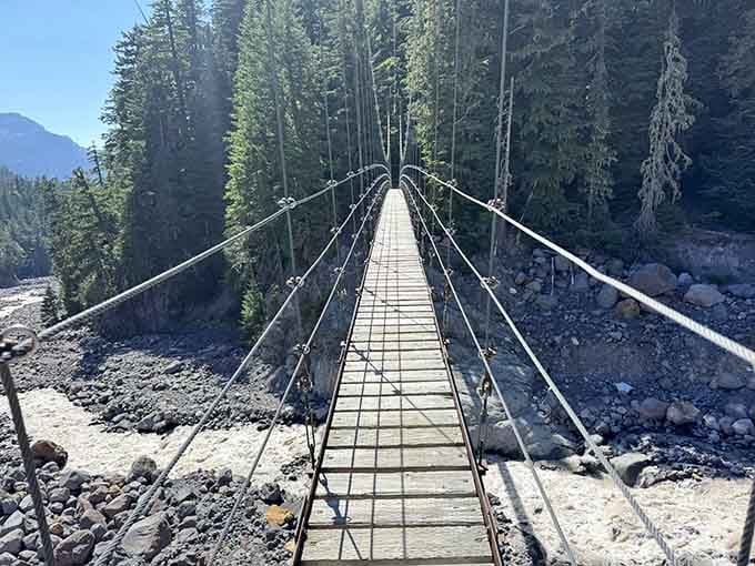 That first glimpse of the suspension bridge through the trees hits different when you realize you're actually crossing it.