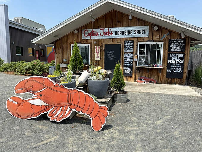 Coastal charm meets Pioneer Valley practicality at this seafood shack that knows exactly what it is.