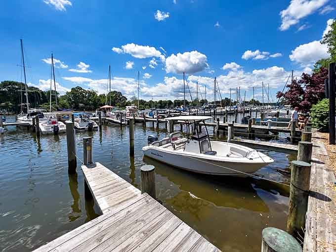 Sailboats, sunshine, and that unmistakable Chesapeake breeze &mdash; Arnold's marina is basically a postcard that lets you walk inside.