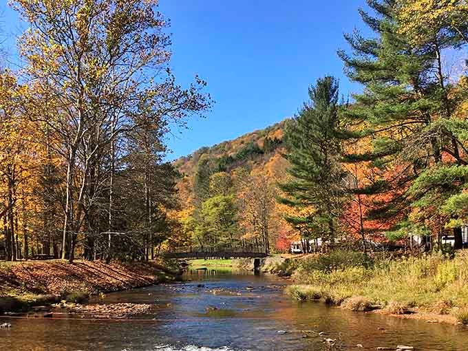 Kettle Creek runs clear and cold through the valley, proof that Pennsylvania's best kept secrets flow freely.