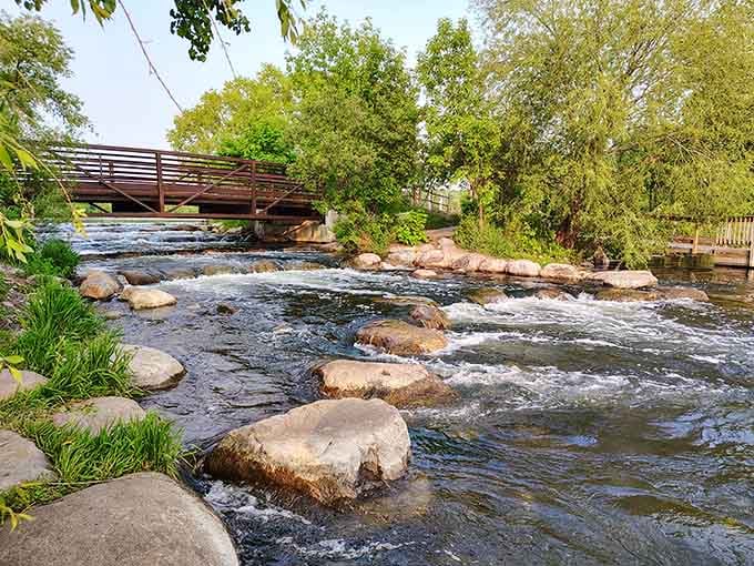 Dunton Locks County Park: where rushing water, giant trolls, and golden trees conspire to steal your heart completely.
