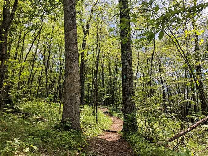 These trails don't need a filter. Nature showed up today and absolutely nailed it.