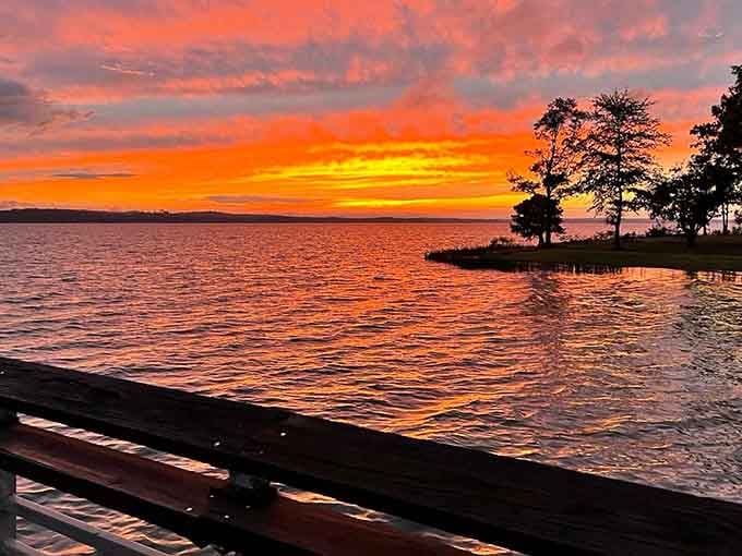 Nature put on its finest show tonight, painting Lake Walter F. George in every shade of fire imaginable.