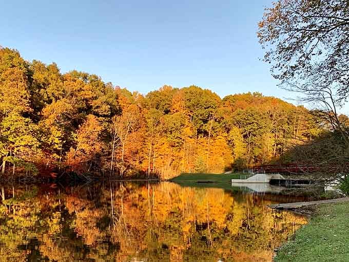 Fall foliage meets its own reflection here, and honestly, the lake is showing off a little.