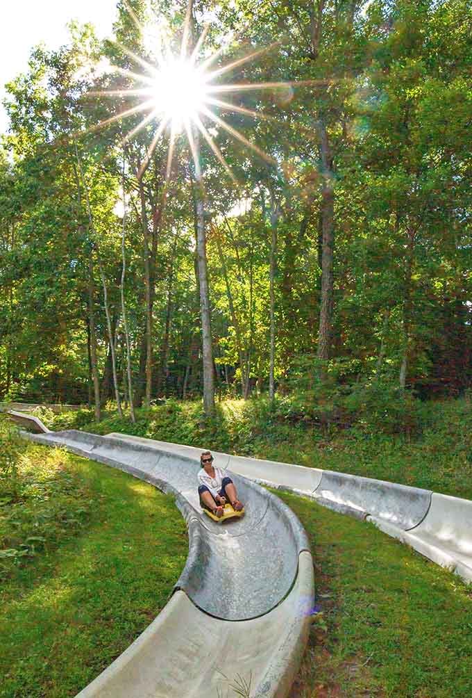 Sunlight filters through the trees as gravity does its thing, turning a simple slide into your new favorite therapy session.
