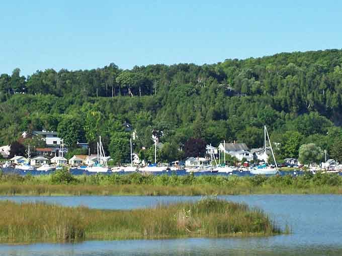 Wetlands, sailboats, and a forested bluff backdrop. Nature here didn't just show up, it dressed to impress.