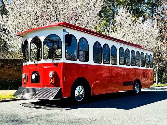 That bold red and white trolley parked beneath spring blossoms is basically screaming, "Your adventure starts right here."