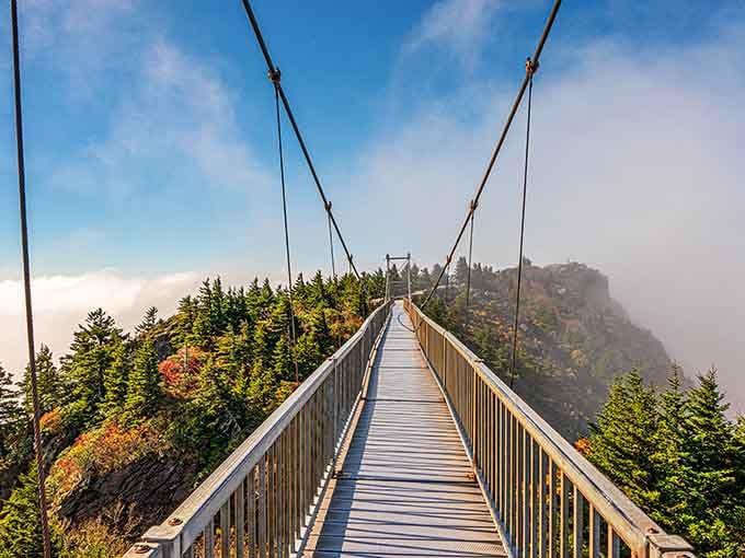 The bridge stretches ahead like a dare from Mother Nature herself, waiting for your answer.