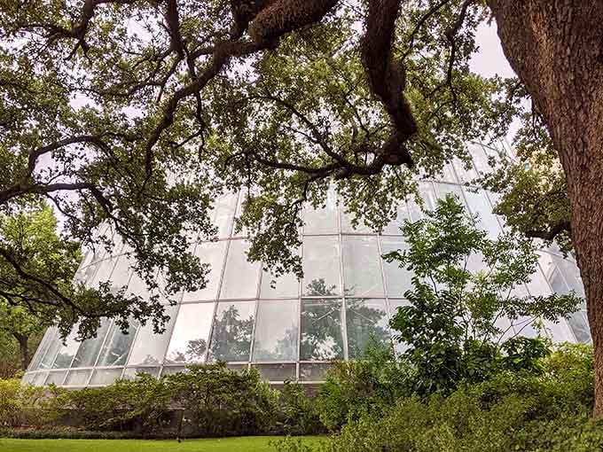 That glass pyramid rising from Hermann Park isn't a mirage&mdash;it's your portal to a tropical butterfly paradise.