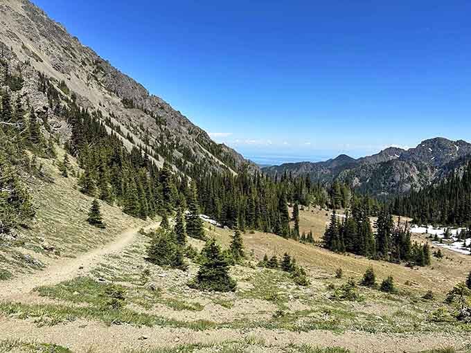 This Washington trail has it all: ancient forests, mountain views, and a crashed WWII bomber waiting at the top.