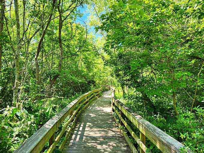 This boardwalk doesn't ask for much, just your full attention and maybe your breath for a moment.