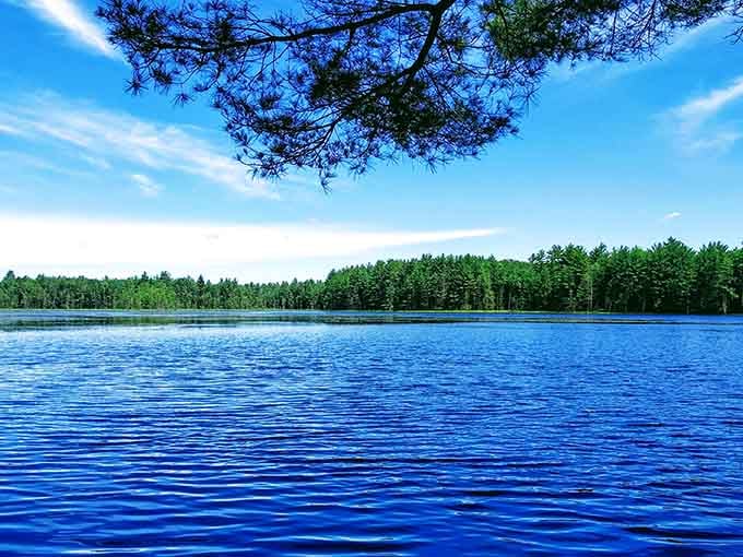Pine branches frame cobalt water so perfectly, even your phone camera looks like a professional.