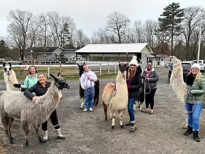 Pure joy looks like this: a group of friends, a handful of llamas, and absolutely nowhere else to be.