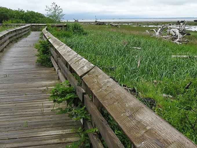 Walking on water becomes reality here, though you'll need wood planks instead of divine intervention for success.