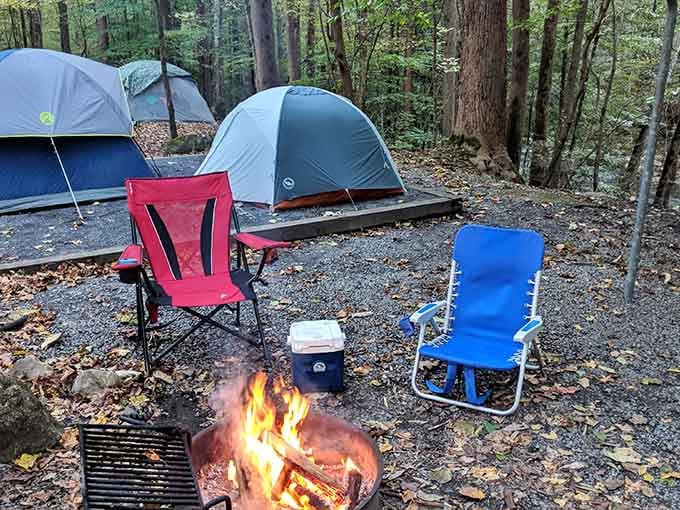 Two camp chairs, one fire, zero complaints. This is what a perfect evening looks like.