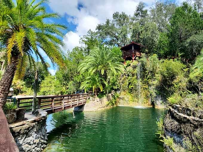 That treehouse isn't just charming. It's the kind of view that rewires your whole afternoon.