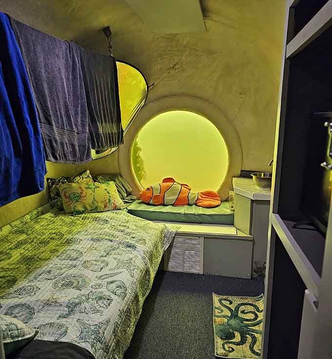 Your bedroom window view includes actual fish instead of a parking lot or brick wall.