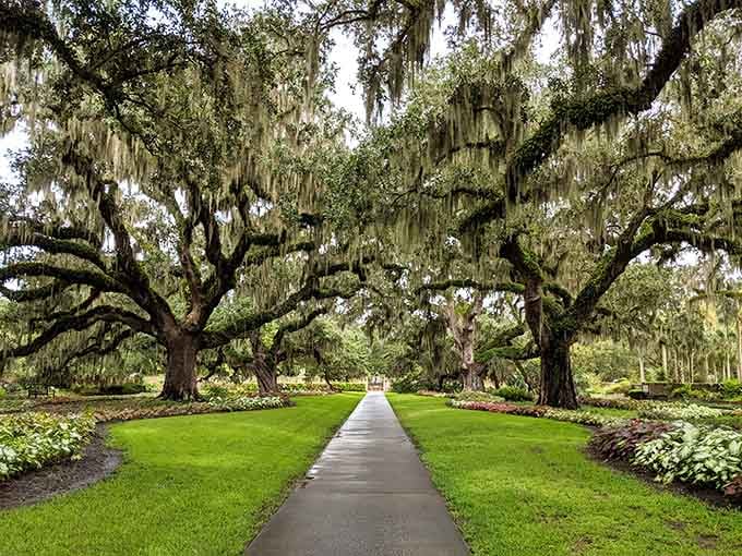 Those live oaks draped in Spanish moss create a cathedral of green that'll make your soul exhale.