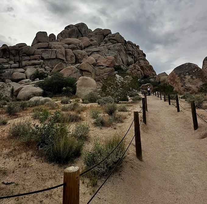 When the clouds roll in, those ancient boulders look even more dramatic, like they're posing for their album cover.