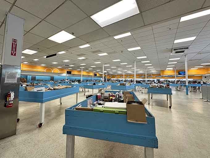 Those rows of bright blue bins stretching into the distance are basically a treasure map with better lighting.