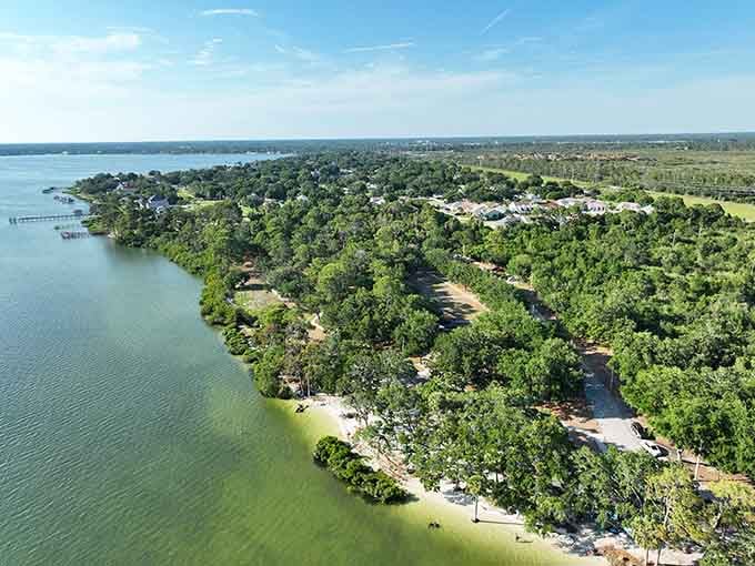 Tree-lined neighborhoods meeting Tampa Bay waters: this is what Florida living looks like when done right.