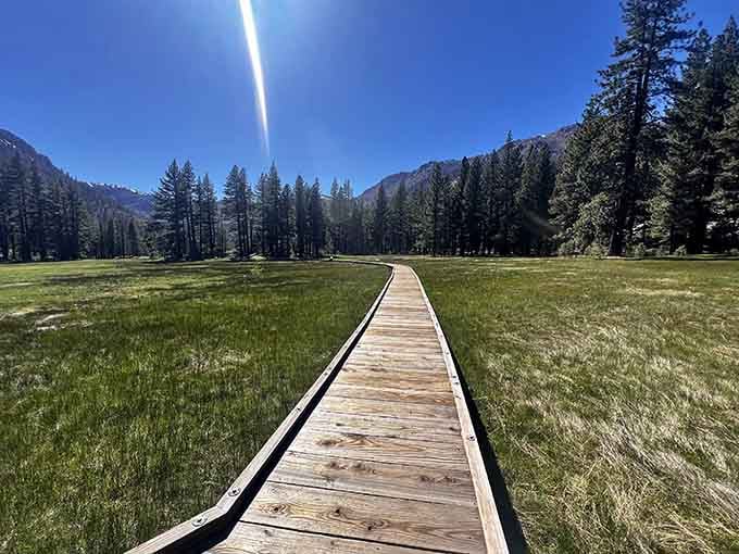 This boardwalk through the meadow proves that getting there really is half the fun, especially with views like these.