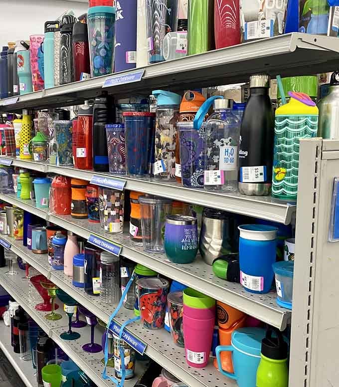 Tumblers, water bottles, and travel mugs lined up like a colorful little army of hydration possibilities.