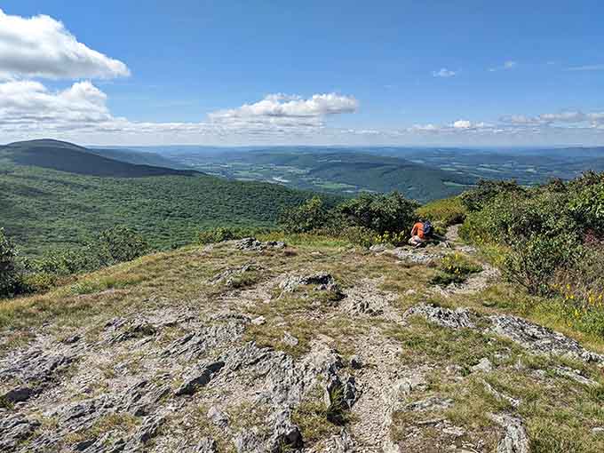Up here, the view stretches so far you can practically see tomorrow, or at least what you're having for lunch.