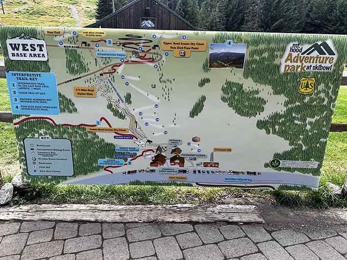 The park map reveals just how much terrain you'll cover while pretending you're totally in control.