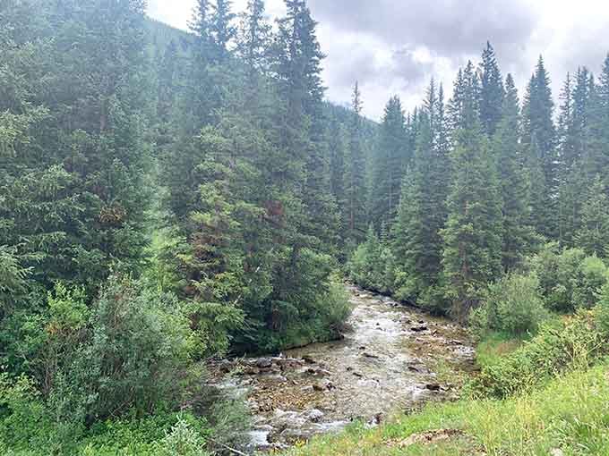 Castle Creek still flows like it did 140 years ago, completely unbothered by the human drama that unfolded here.
