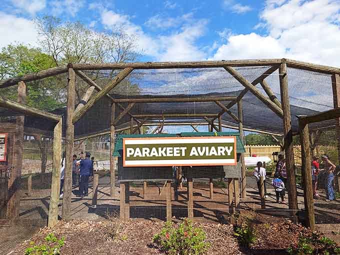 The Parakeet Aviary is where you walk in a regular person and walk out someone's new favorite perch.