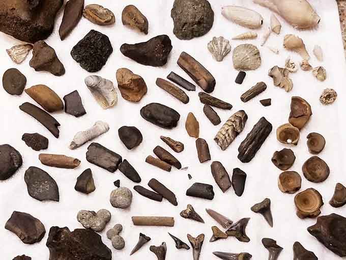One afternoon of digging and this could be your haul, proof that patience really does pay off here.
