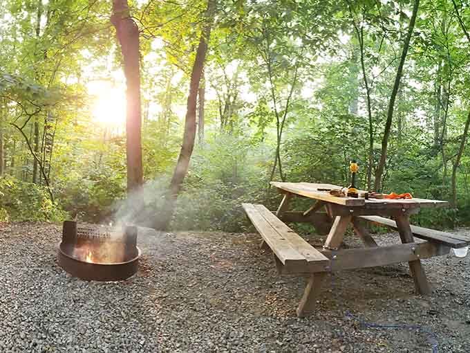 A fire ring, a picnic table, golden light through the trees, this campsite is basically a painting you can live inside.