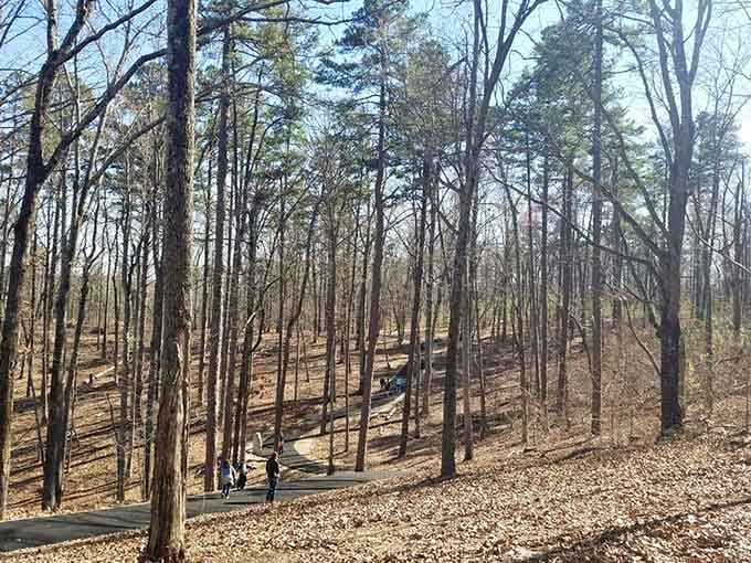 Winter strips away distractions, letting you see the battlefield's strategic terrain exactly as those Revolutionary soldiers experienced it then.