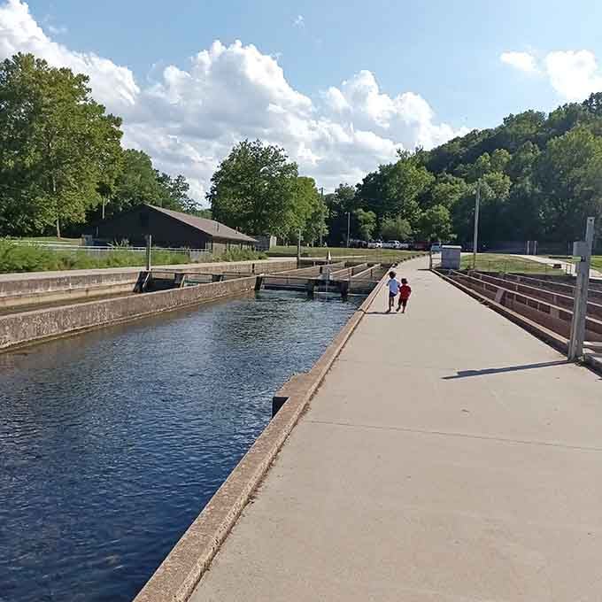 Two kids walking the fish hatchery path, completely unaware they're having a memory that'll last forty years.