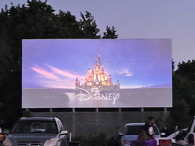 When the Disney castle lights up a screen this big, even the grown-ups forget they're supposed to act cool.