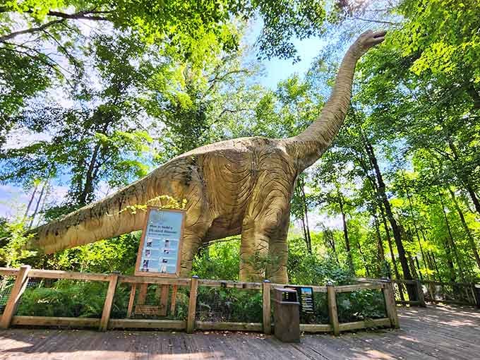 A towering dinosaur rising through the treetops. Jurassic Park vibes, minus the running and the screaming. Mostly.