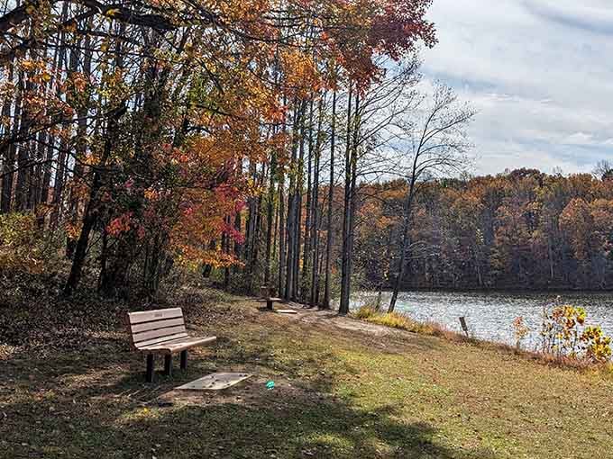 A lakeside bench surrounded by fall color is nature's way of saying, sit down and stay a while.