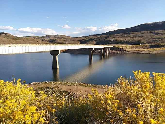 Golden wildflowers frame the bridge perfectly. Blue Mesa Reservoir knows how to dress for company.