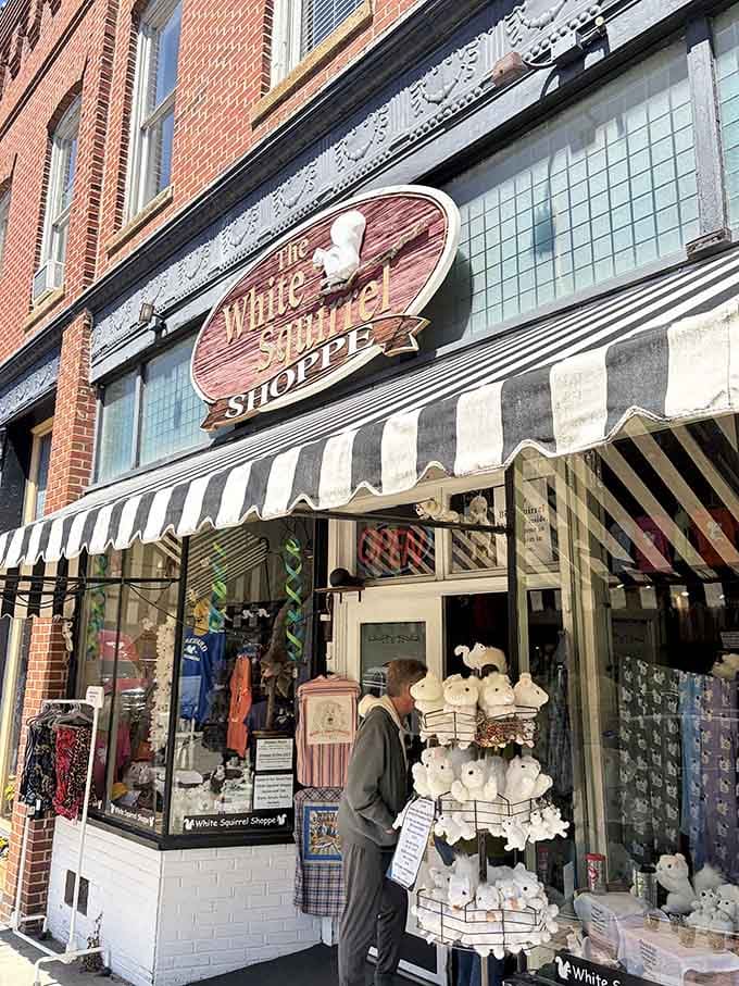 The White Squirrel Shoppe is ground zero for the town's most beloved and fluffy obsession.