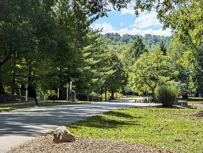Shaded campsites and winding roads through the park offer the kind of tranquility that makes you wonder why you don't camp more often.