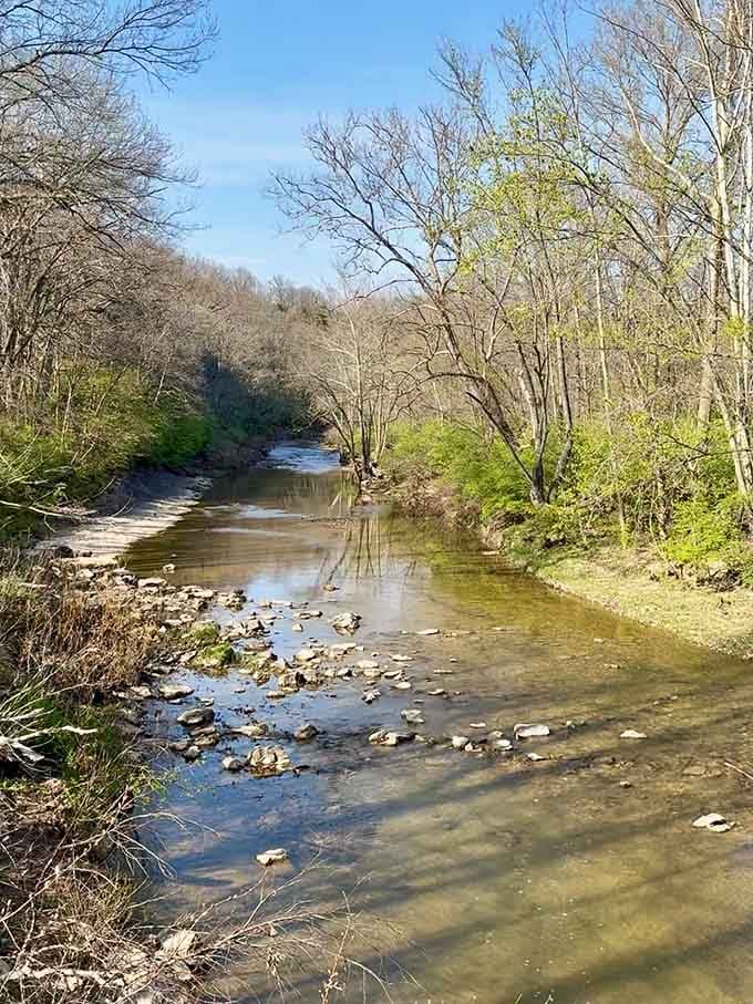 Hinkson Creek meanders through the park like it's got all the time in the world, because it does.