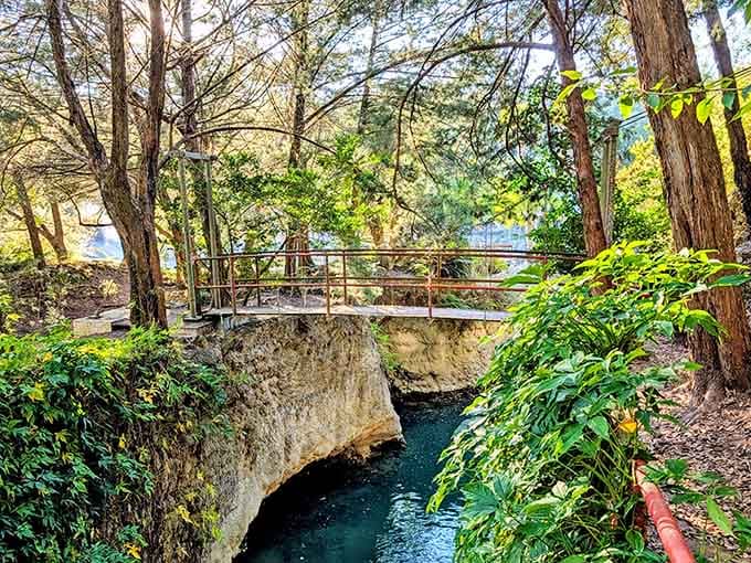 A footbridge perched over glassy blue water carved right into old Florida limestone. Stunning.