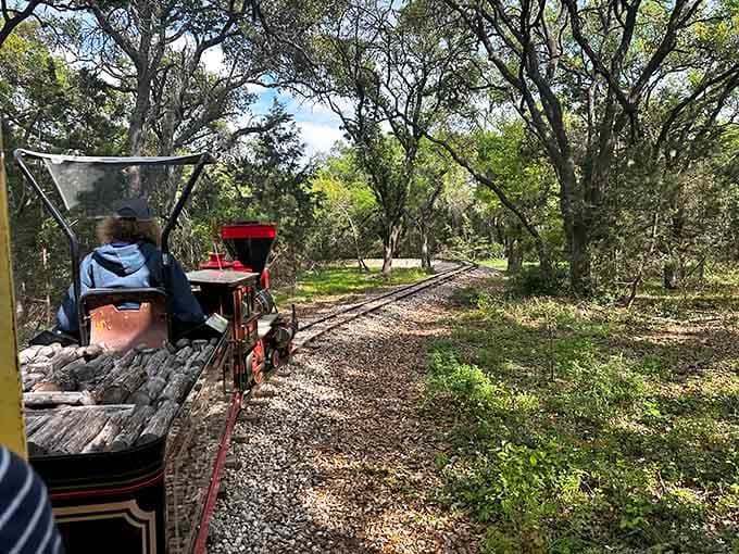 Winding through the woods at just the right pace, this track knows how to show off the scenery.
