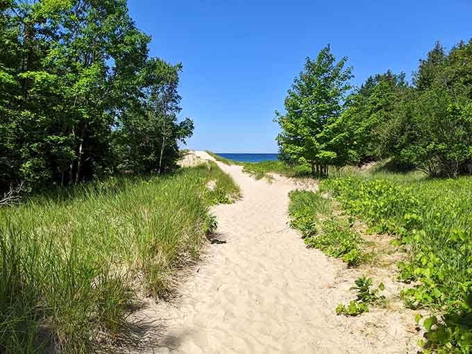 North Point Nature Preserve's sandy path leads to Lake Michigan views that justify every mosquito bite along the way.