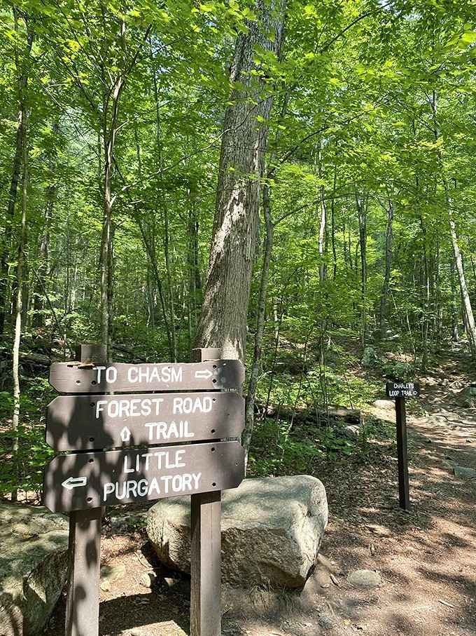 Clear as day: Charley's Loop Trail is the main event, and the chasm is the headliner.